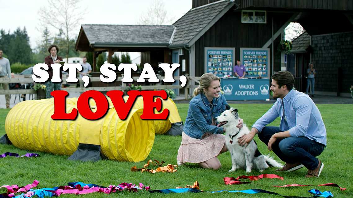 Sve za ljubav (Romance to the Rescue / Sit, Stay, Love / Sit Stay Love, 2022) - Film