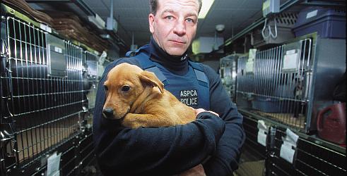 Policijska postaja za životinje (Animal Precinct) - MojTV