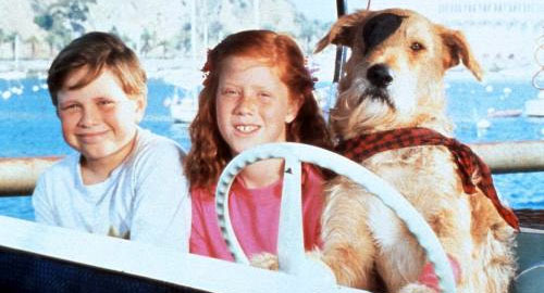 Pas Sherlock (Sherlock: Undercover Dog, 1994) - Film