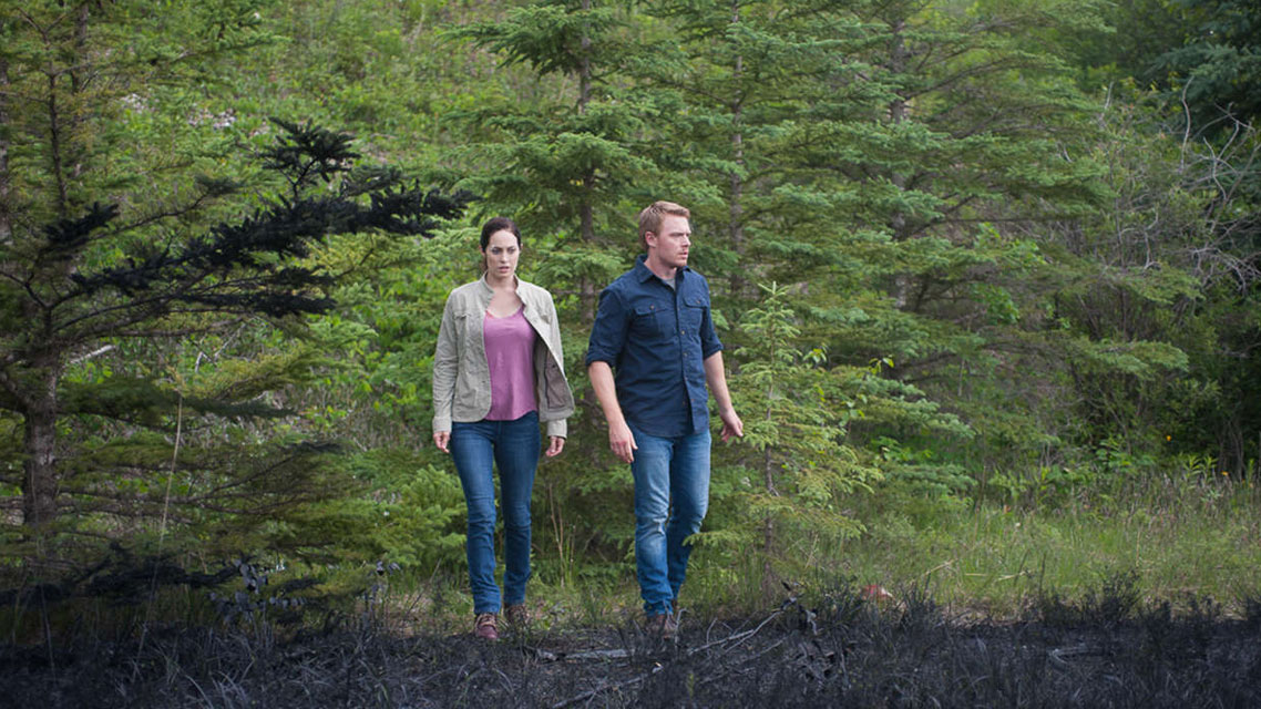 Polumjer (Radius, 2017) - Film