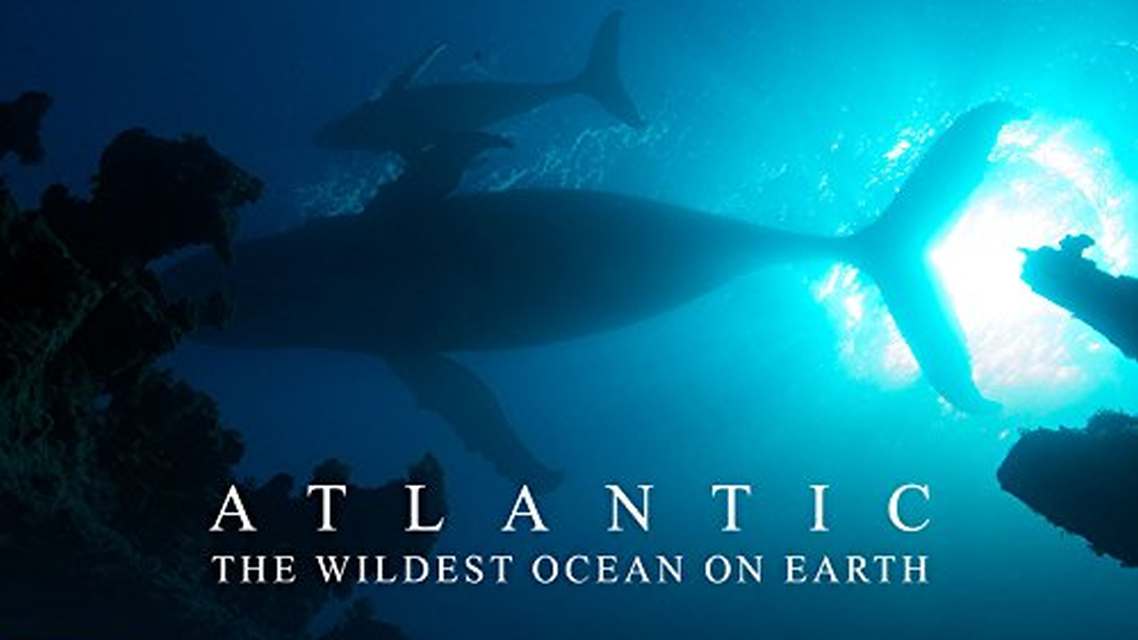 Atlantik (Atlantic: The Wildest Ocean on Earth / Atlantic - The Wildest ...