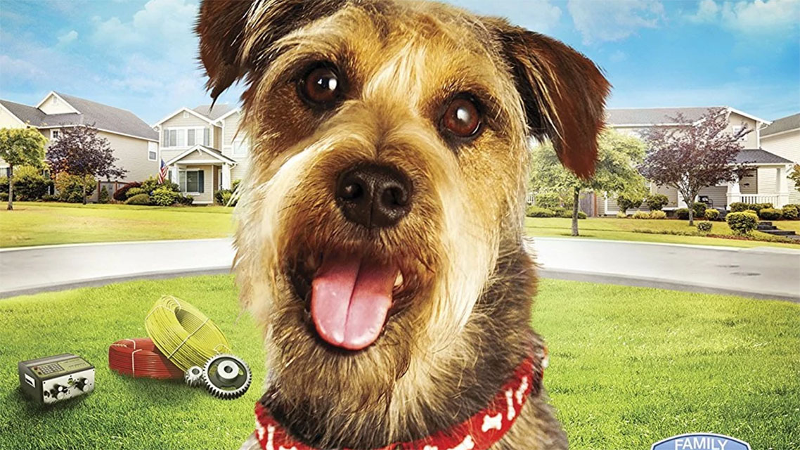 (Robo-Dog, 2015) - Film
