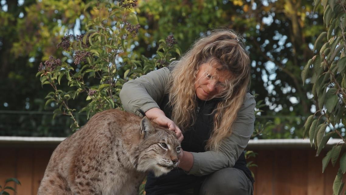 Ne baš tako divlji (Pas si sauvages / In From The Wild, 2018) - Film