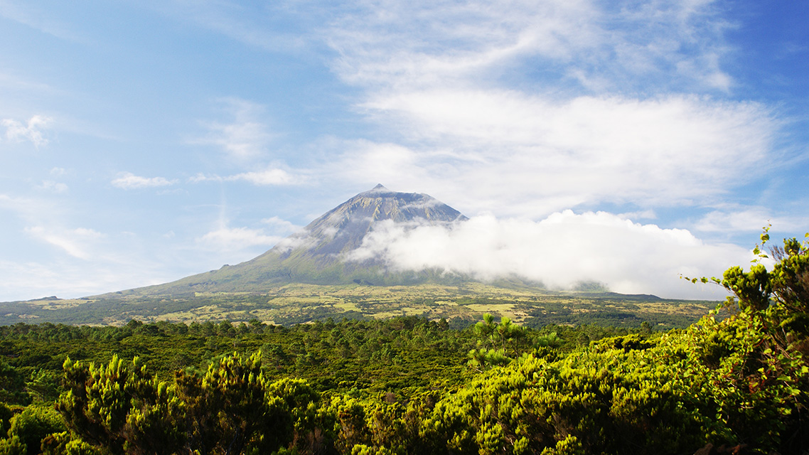 Divljina Portugala (Wild Portugal) - MojTV
