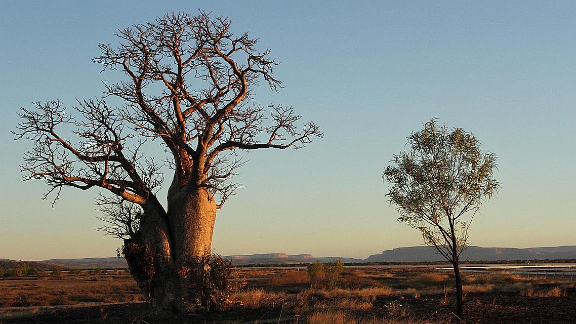 Unutrašnjost Australije (Outback) - MojTV