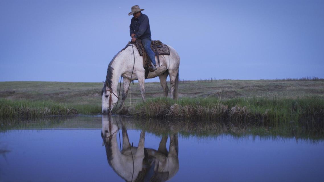 Prerija - Skrivena divljina Sjeverne Amerike (Grasslands: North America ...