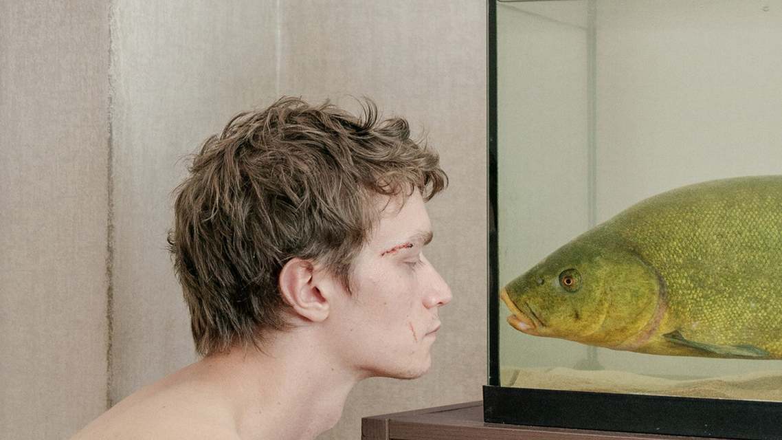 Linjak (Muidhond / Tench, 2019) - Film