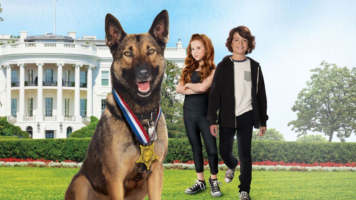 Max 2: Junak Bijele kuće (Max 2: White House Hero, 2017) - Film