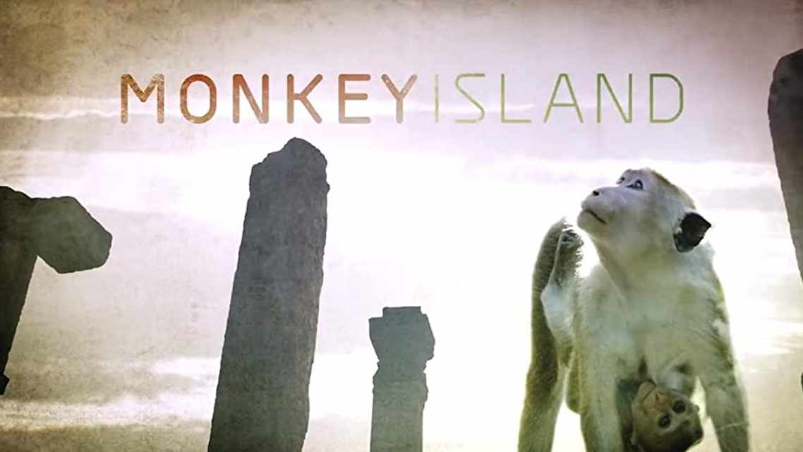 Otok majmuna (Monkey Island) - MojTV