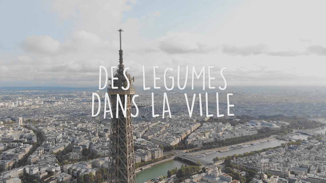 Povrće u gradu (Vegetables in the City / Des légumes dans la ville ...