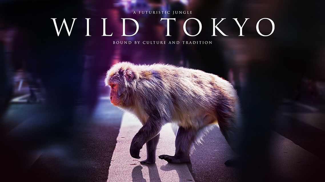 Divlji Tokio (Wild Tokyo, 2020) - Film