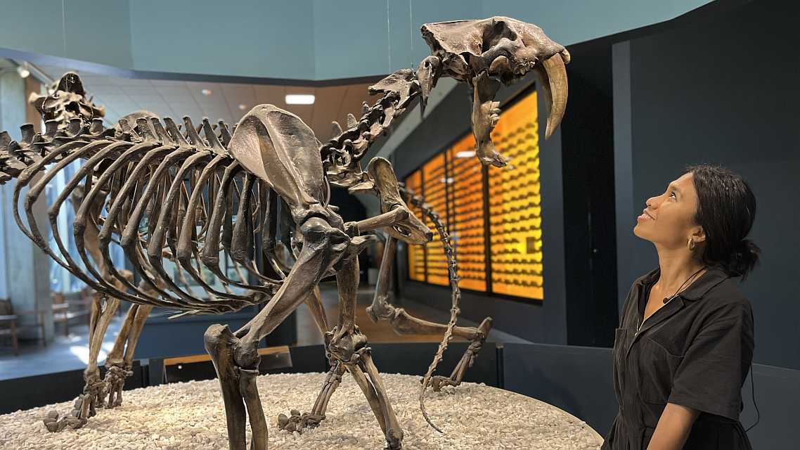 Otkrivanje izgubljenih zvijeri (Lost Beasts: Unearthed) - MojTV