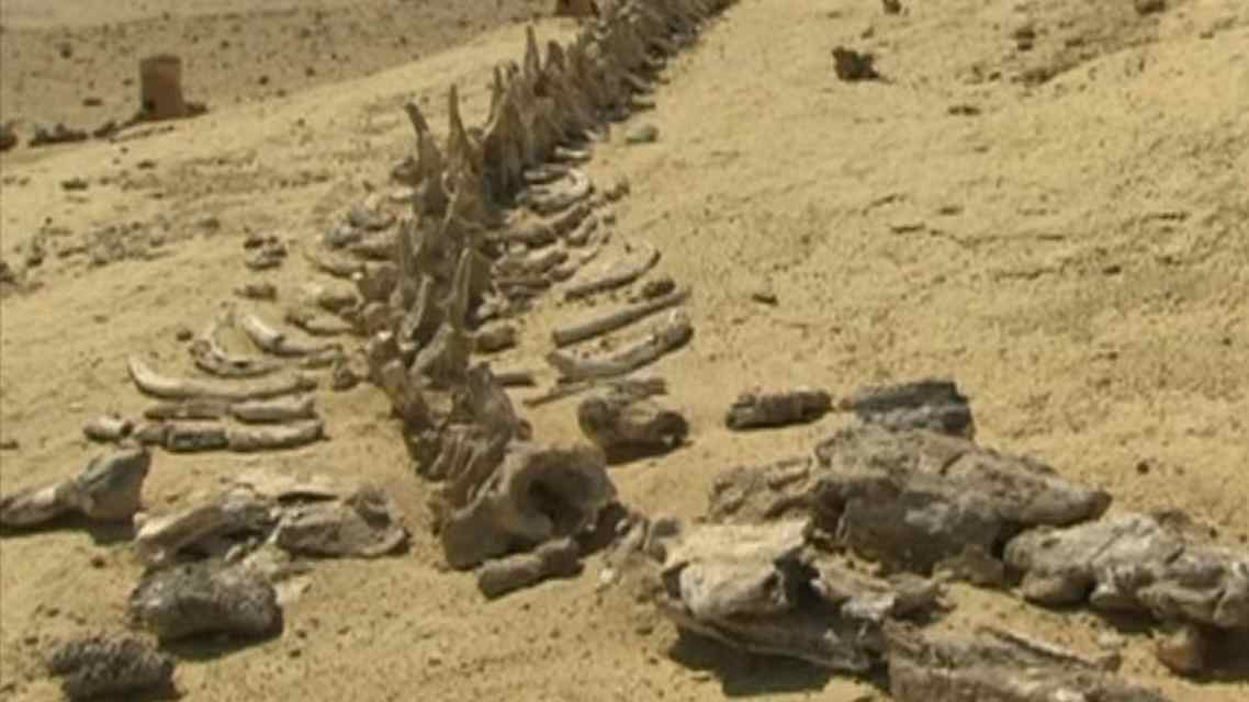 Egipatska tajna: Dolina kitova (Egypt's Secret Valley of the Whales ...