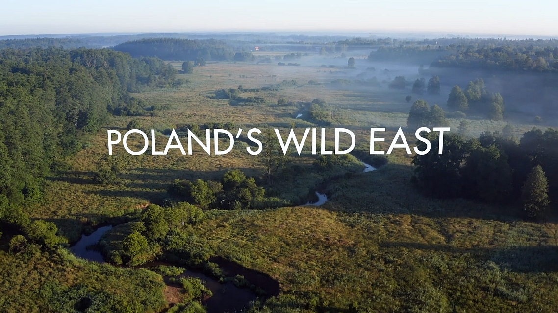 Poljski divlji zapad (Polens Osten: Zwischen Wisenten, Wölfen und ...