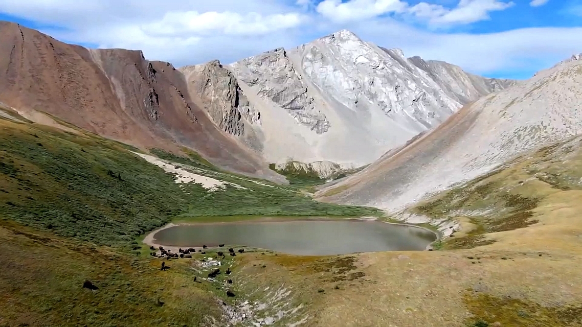Divlji koridor Stijenjaka: od Yellowstonea do Yukona (A la reconquete ...