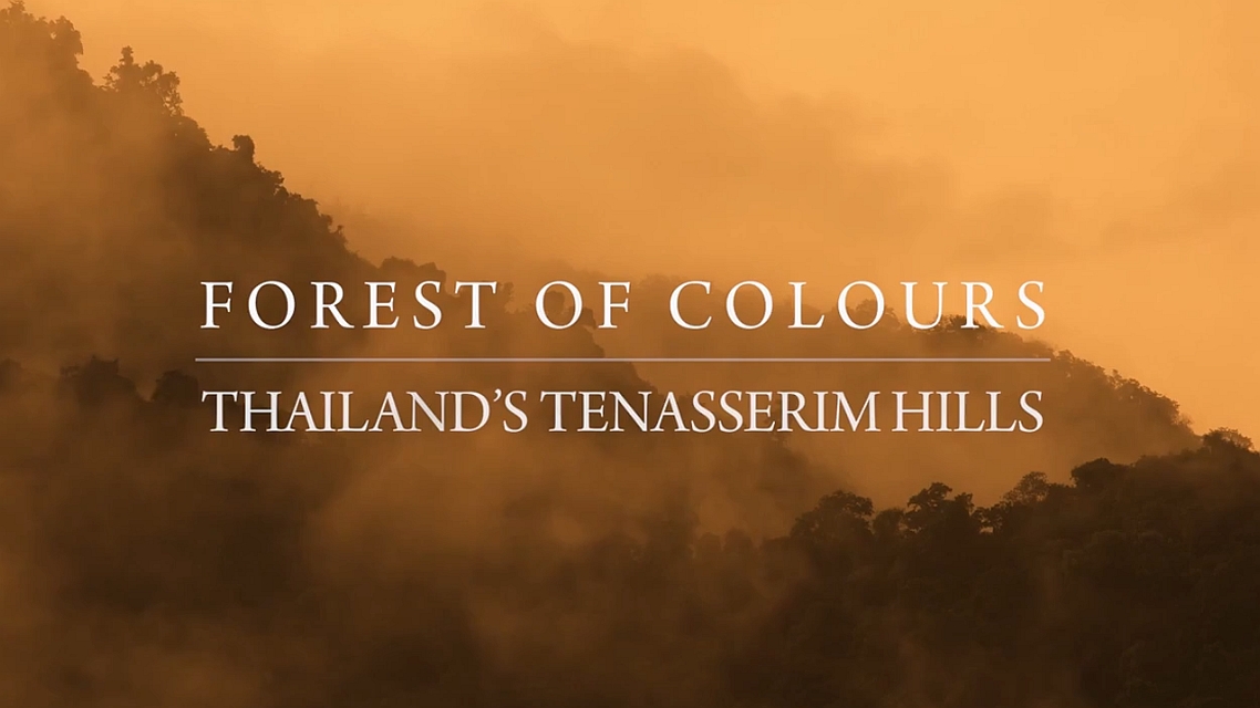 Obojena šuma: Tajlandska brda Tenasserim (Forest of Colours - Thailand ...