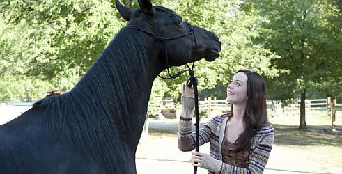 Flicka 3 (FLICKA: COUNTRY PRIDE / FLICKA 3: BEST FRIENDS, 2012) - Film