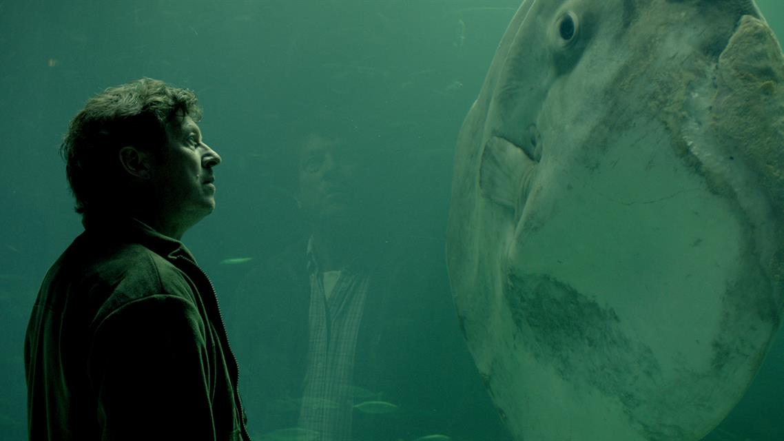 Bucanj (Klumpfisken, 2014) - Film