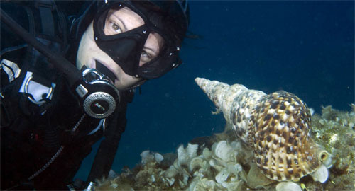 Hrvatsko podmorje (HRVATSKO PODMORJE) - MojTV