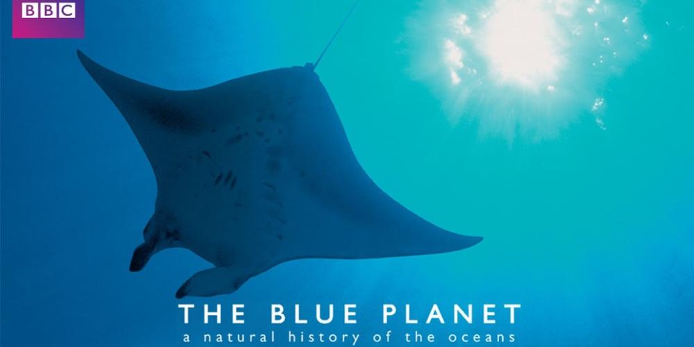 Plavi planet (The Blue Planet) - MojTV