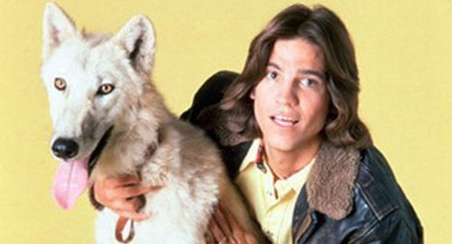 Lucan (LUCAN, 1977) - Film