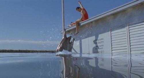 Morski pas napada Malibu (Malibu Shark Attack, 2009) - Film