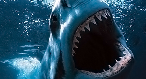 Ralje 3 (Jaws 3, 1983) - Film