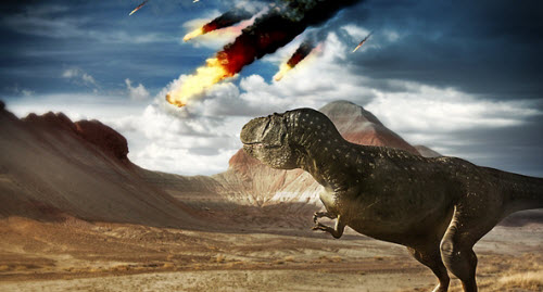 Animal Armageddon (Animal Armageddon, 2009) - Film