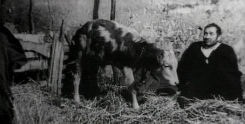 Pohod (Pohod, 1968) - Film