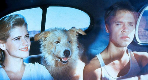 Highway to Hell (Highway to Hell, 1991) - Film
