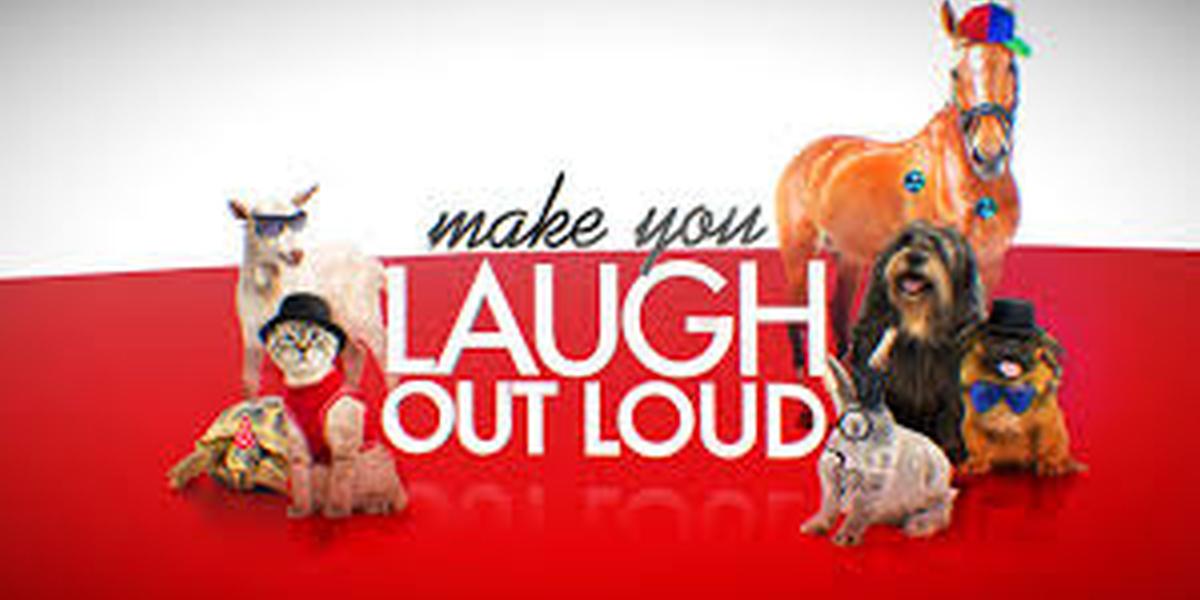 LOL (Make You Laugh Out Loud) - MojTV