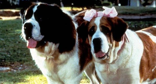 Beethoven 2 (BEETHOVEN'S 2nd, 1993) - Film