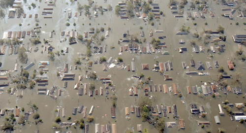 Surviving Katrina (Surviving Katrina, 2006) - Film