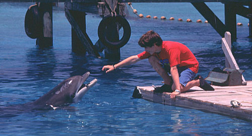 Flipper (Flipper, 1996) - Film