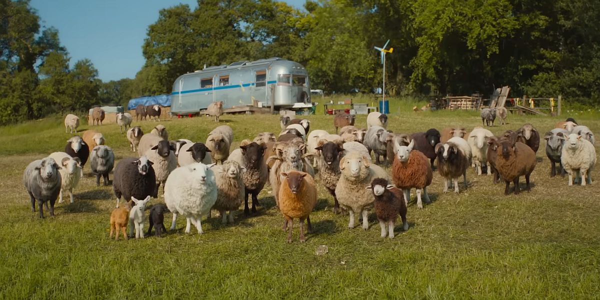 Vrhunska glumačka postava u misterij komediji "The Sheep Detectives ...